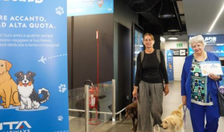 Cani di grossa taglia in aereo: oggi per Honey e Moka il primo volo ...